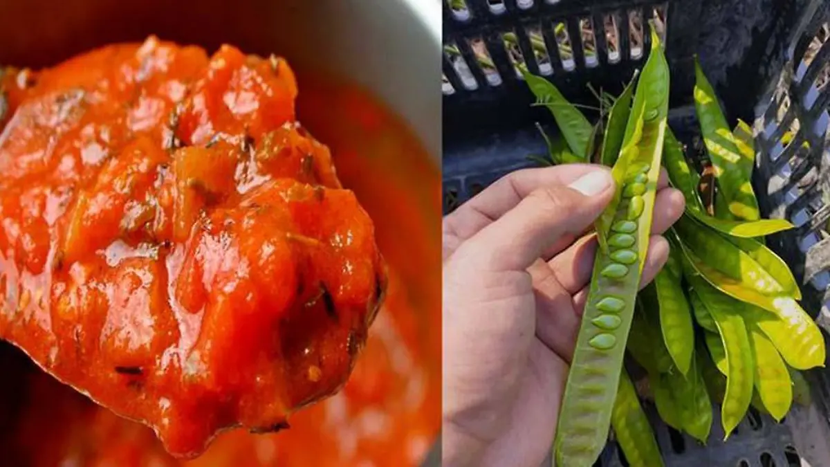 ¿Qué son los guajes, dónde se consiguen y cómo se cocinan? - Aderezo