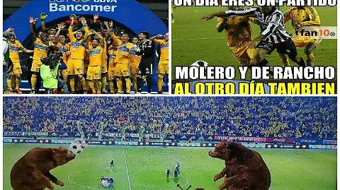 Memes Del Titulo De Tigres Fotos | Los Memes Del Triunfo De Tigres