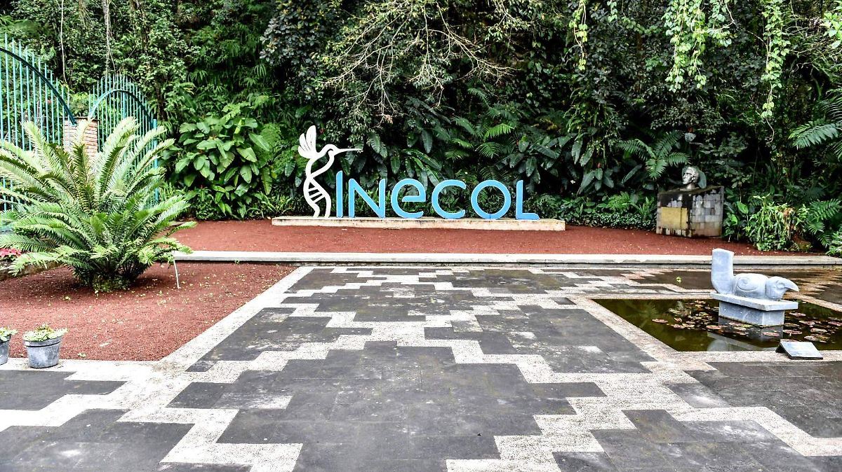 Inecol presenta la edición 14 de su Casa Abierta 2024: lista de ...