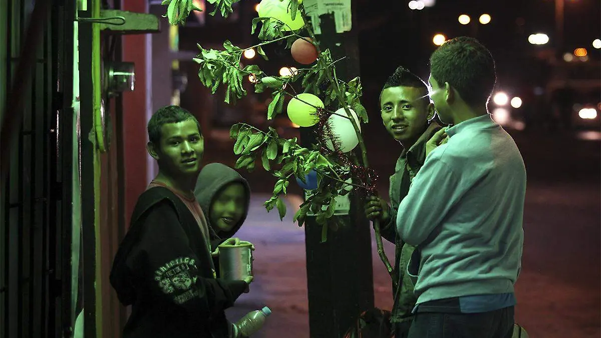 ¿Cuál es el origen de la "La Rama" Veracruzana? - Diario de Xalapa ...