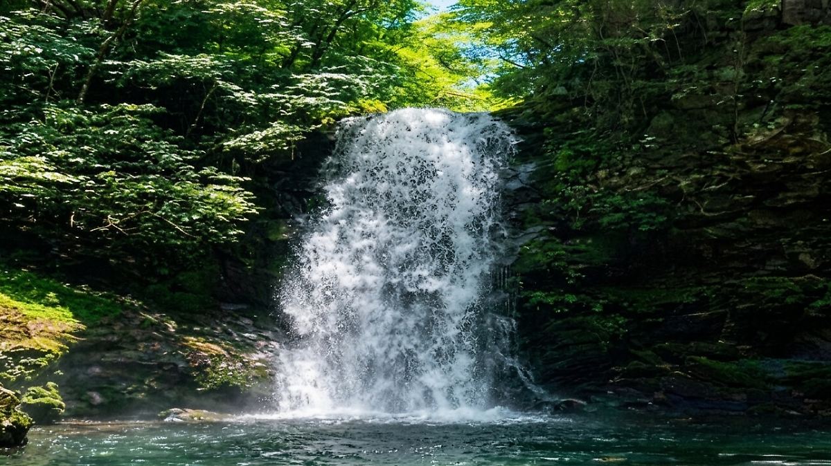 Salto de Chopantla en Coatepec, ¿dónde se encuentra y cómo llegar ...