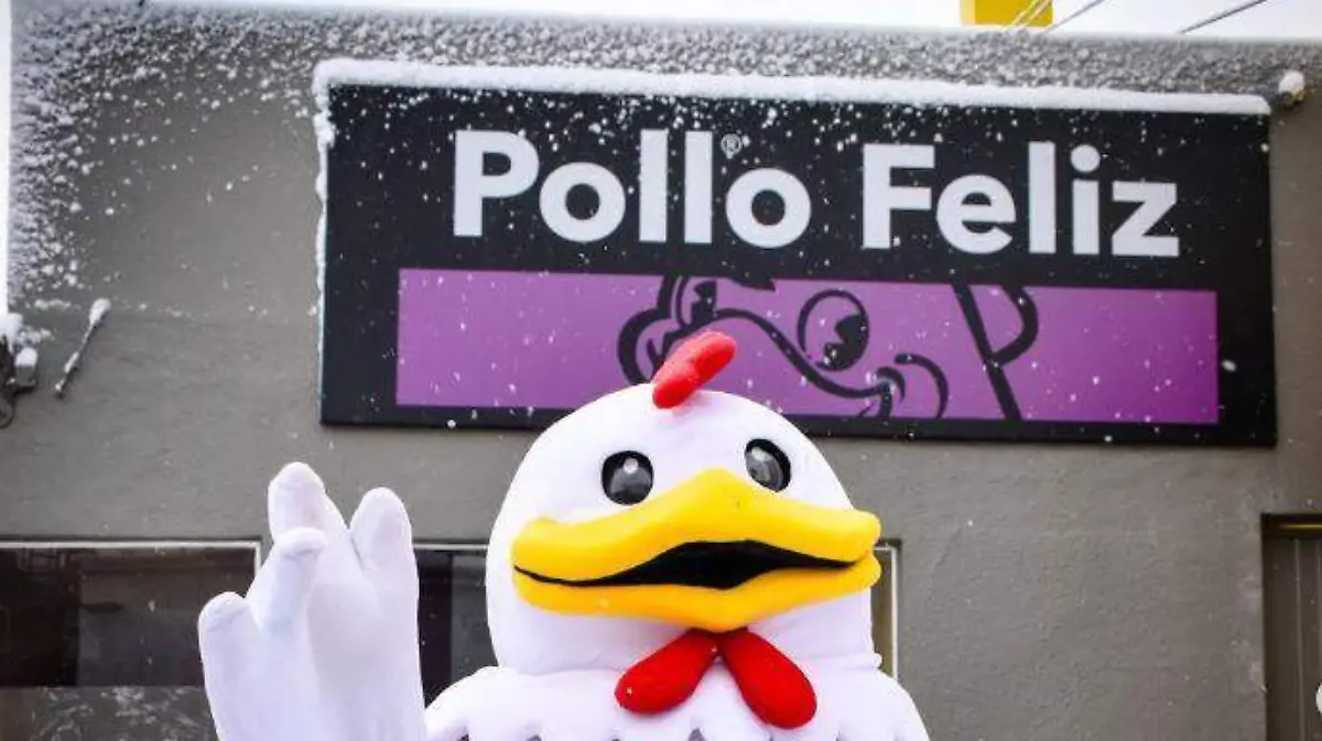 Frijoles saltarines: El juguete y amuleto que nace en las sierras de ...