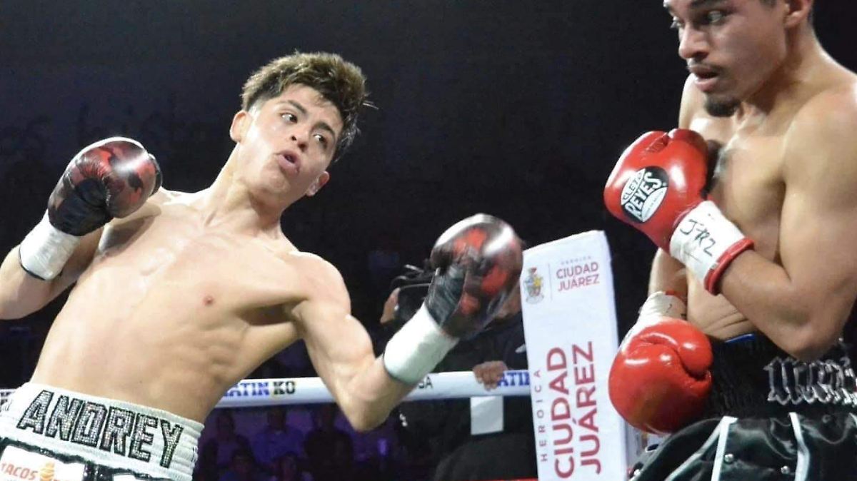 Brillan los hermanos Bonilla en función de box en Ciudad Juárez - El ...