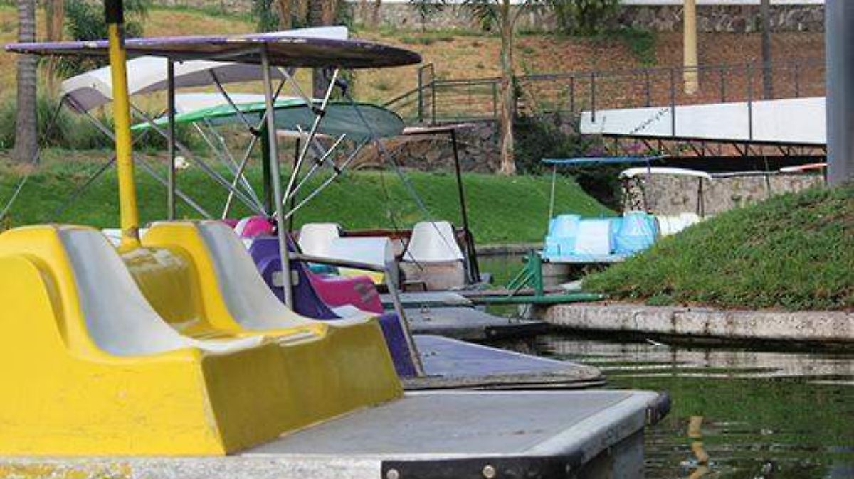 Puente vacacional: Disfruta de un picnic y un paseo en lancha, todo en ...