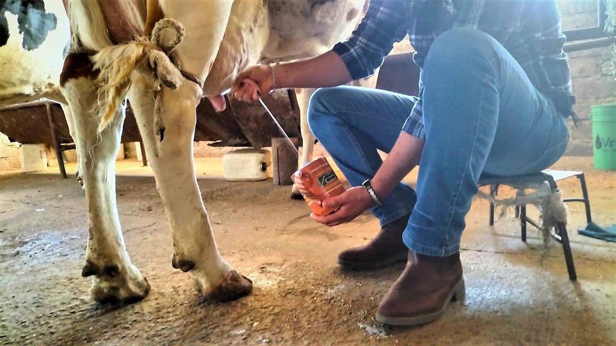 Pajaretes con más de 50 años de tradición; de Tonalá para el mundo - El ...