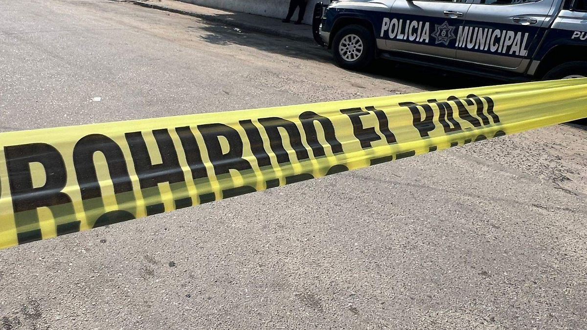 Hallan a tres personas sin vida dentro de transporte público en La ...