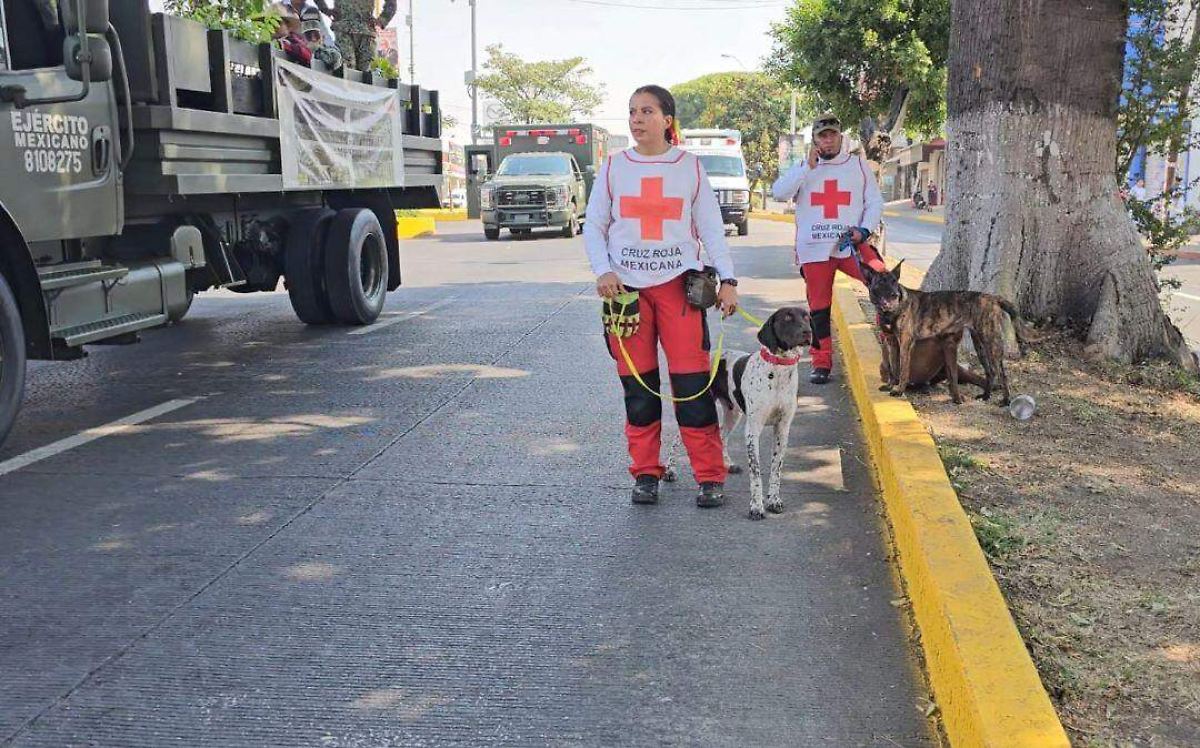 Desfile 2 de mayo Cuautla: Binomios caninos participaron en desfile - El Sol de Cuautla ...