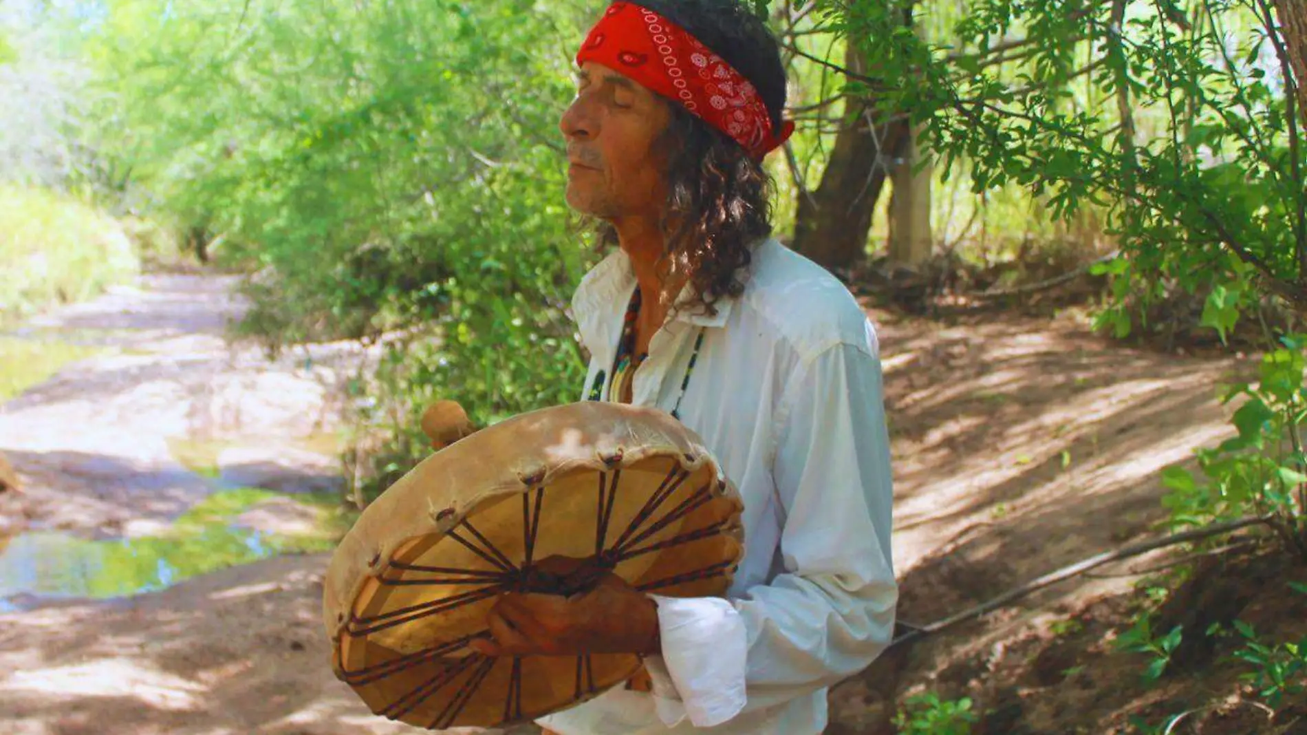 La experiencia de la ceremonia del Sapo Bufo: Un Renacer en el desierto ...