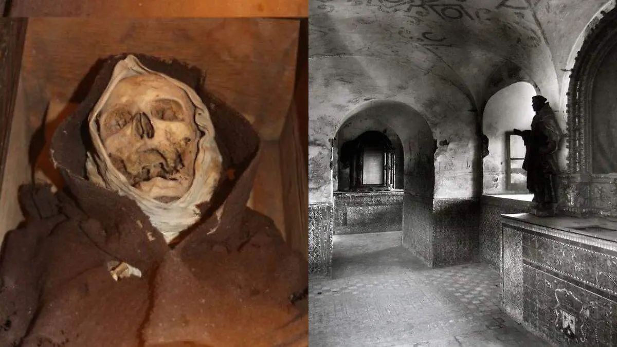 El yoyomo, la fruta de la que hablan los abuelos sonorenses árbol ...