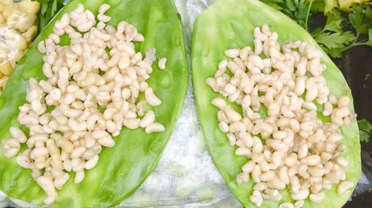 Escamoles: 3 recetas para disfrutar esta delicia hidalguense - El Sol ...