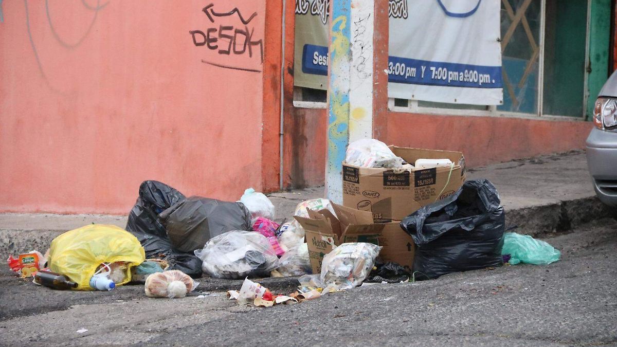 Cucarachas, ratas y enfermedades a causa de la acumulación de basura en ...
