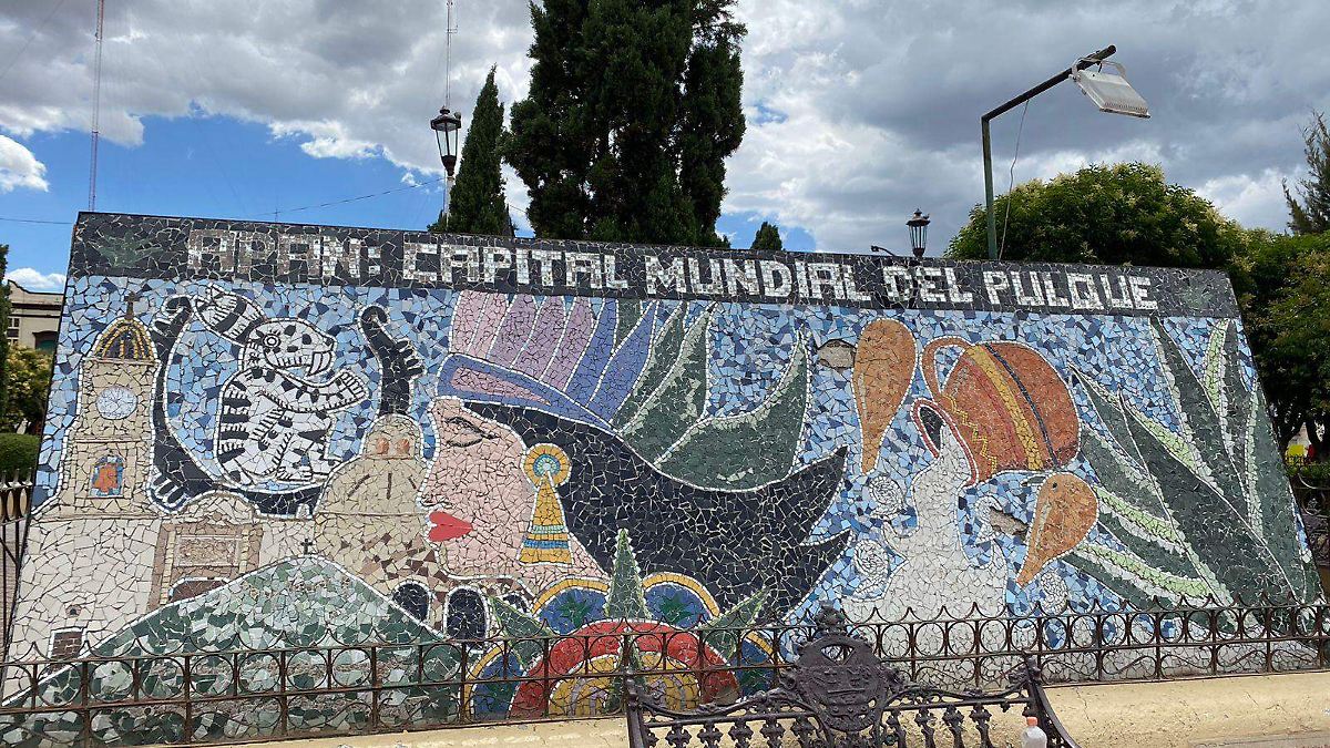 Mural Magueyero ícono del arte contemporáneo apanense - El Sol de ...