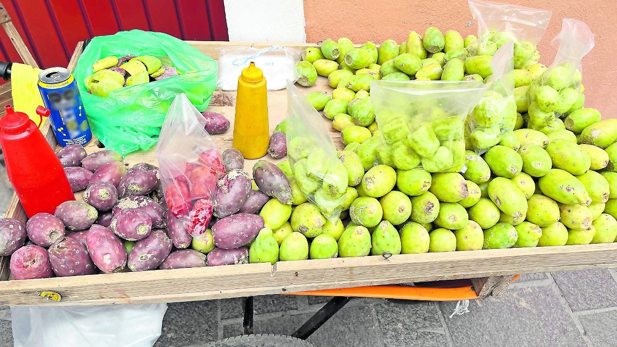 Tunas, manjar que se come con limón y chile piquín en el Valle del ...