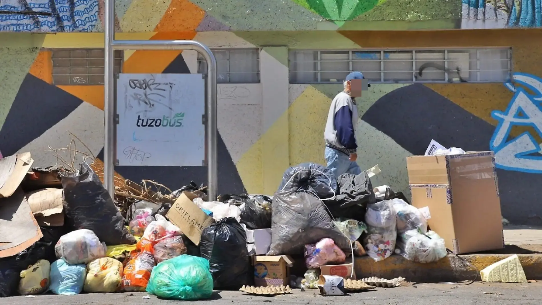 Zacate Jhonson, una especie invasora llega al Valle del Mezquital - El ...