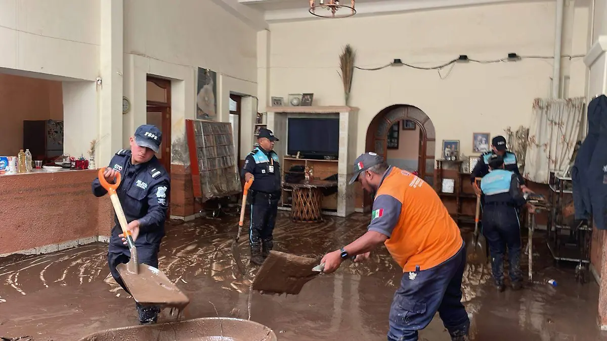 Inician campaña de donación de árboles en Acámbaro - El Sol del Bajío ...