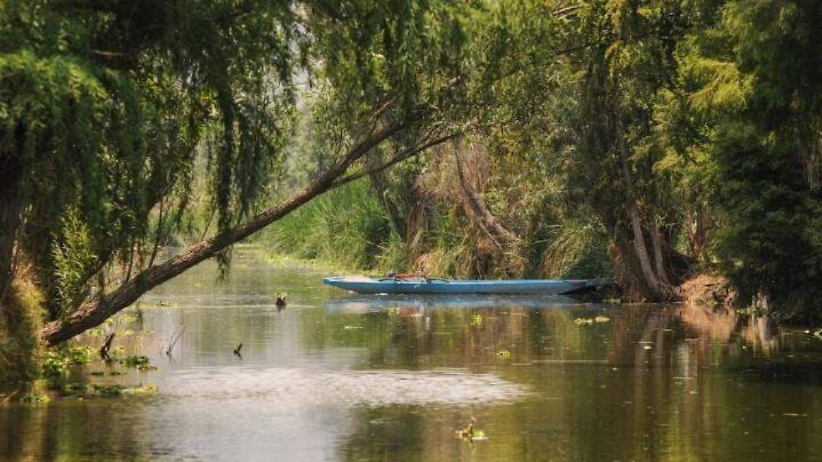 Limpian y recuperan el Lago de los Reyes Aztecas en Tláhuac - El Sol de ...