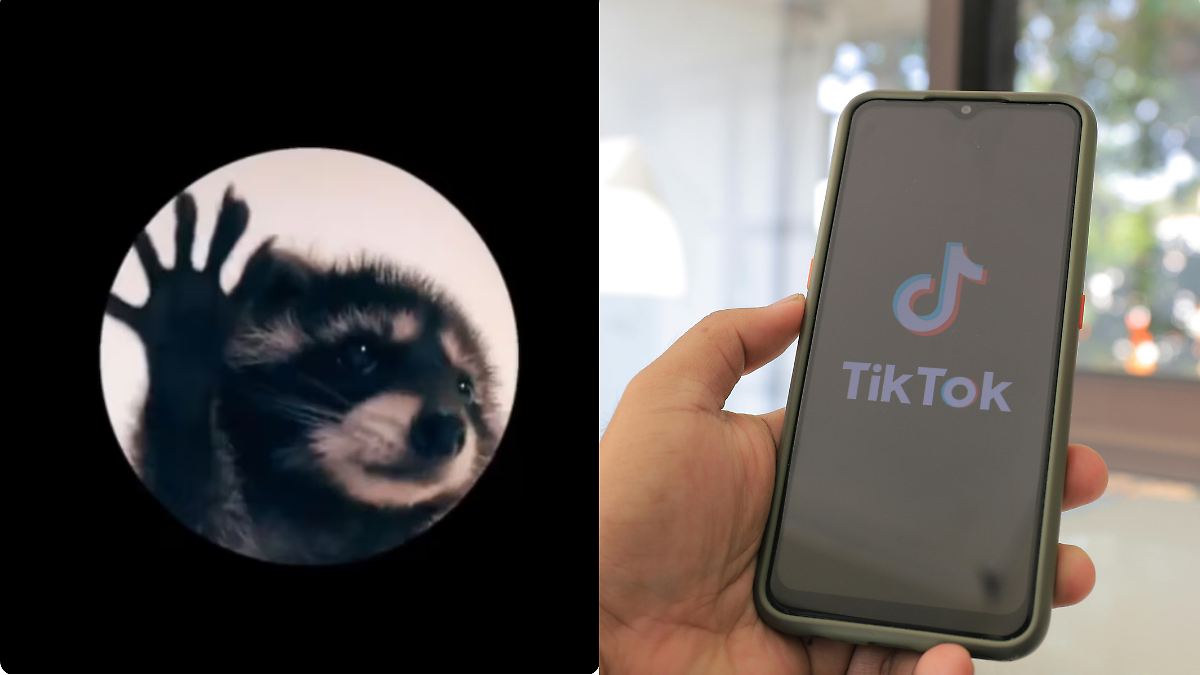 Los 10 mejores trends de TikTok del 2024 - El Sol de México