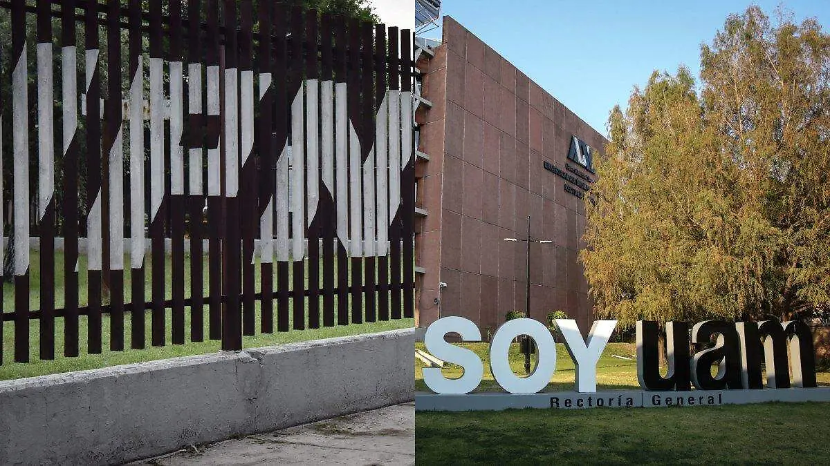 Licenciaturas en la UAM e IPN: ¿cuándo publican su convocatoria 2025 ...