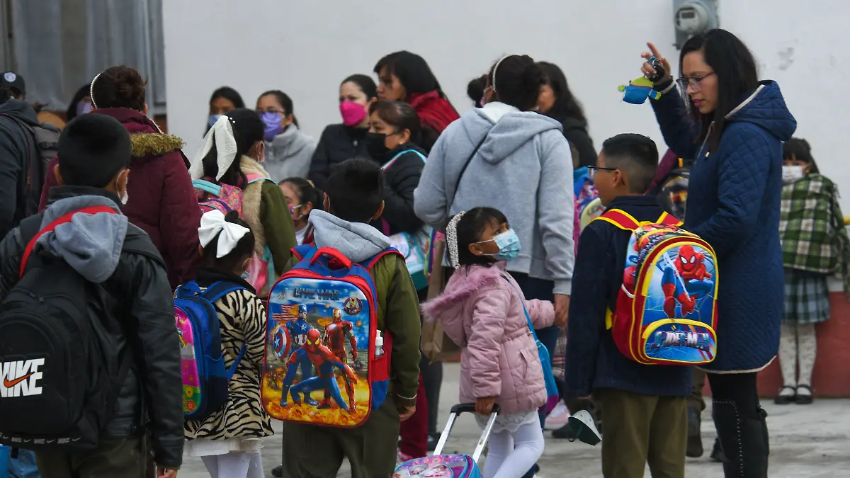 Cambia tus electrodomésticos con tu recibo de CFE: así funciona el ...