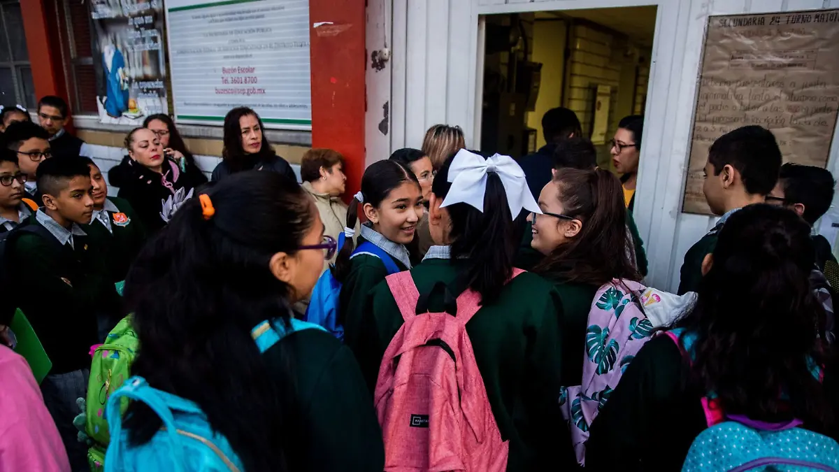 Chechén, el árbol que provoca quemaduras y que originó una leyenda maya ...