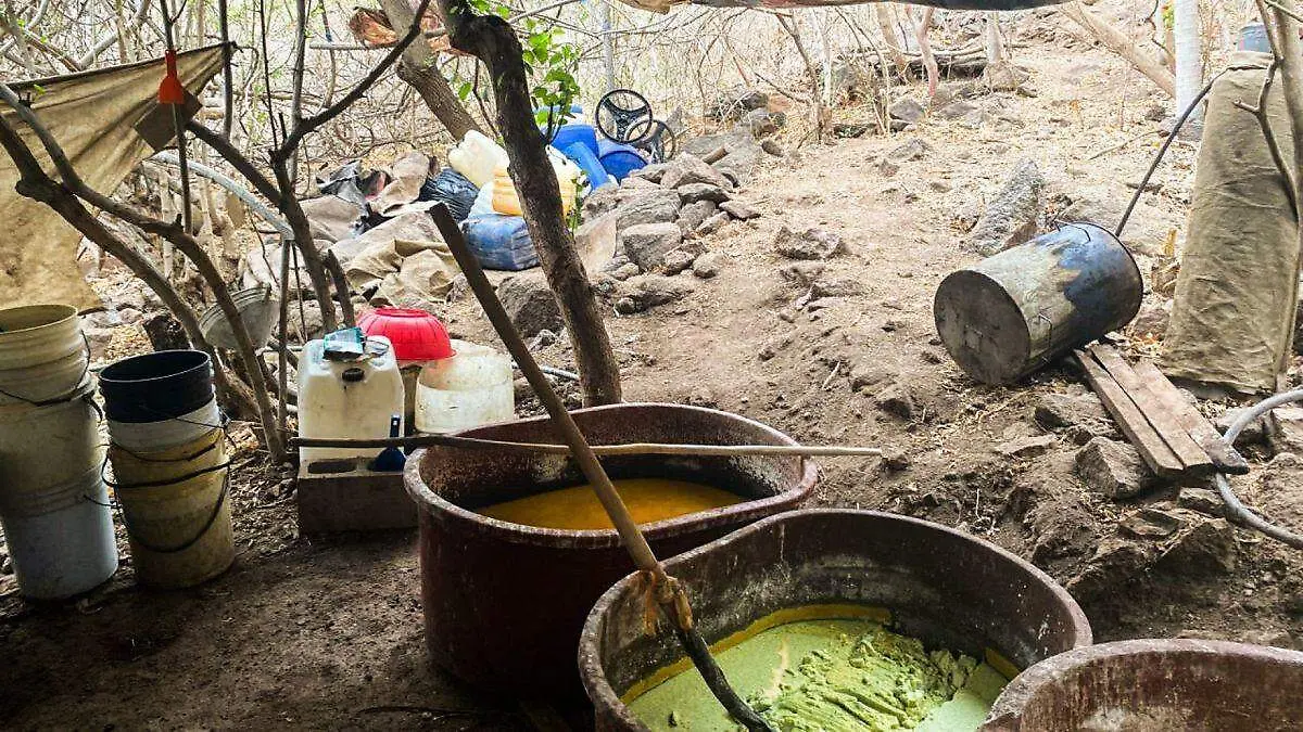 Sinaloa suma más de 800 asesinatos tras captura de El “Mayo” Zambada ...