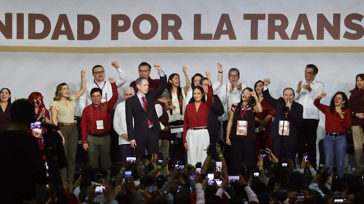 Morena elige a Ariadna Montiel como nueva dirigente nacional - El Sol ...