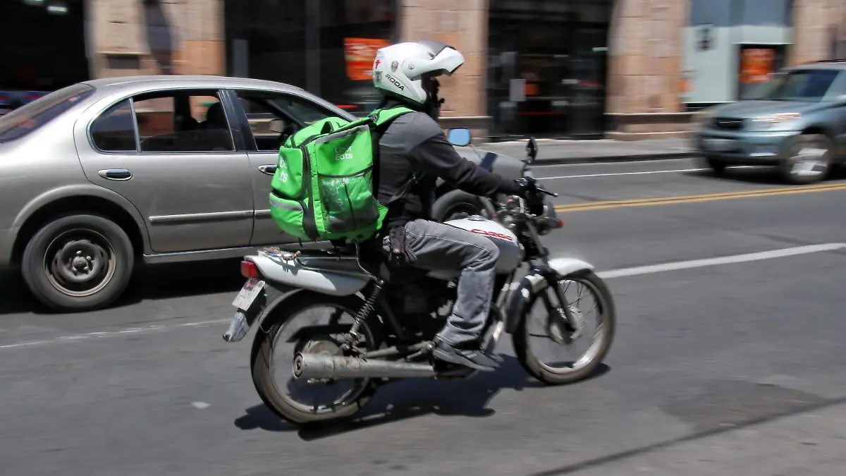Conoce la historia de Snuppy, el primer perro clonado en la historia ...