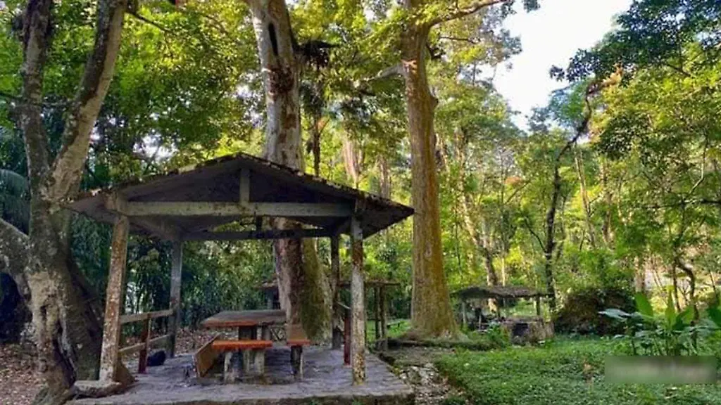 Reserva del Metlac es el Área Natural Protegida de Ixtaczoquitlán con ...