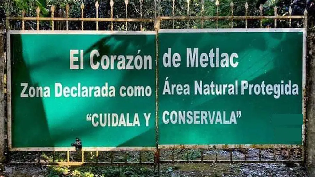 Reserva del Metlac es el Área Natural Protegida de Ixtaczoquitlán con ...