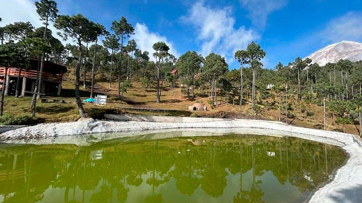 Frescura natural en La Perla: Van 4 opciones de cabañas para visitar en ...