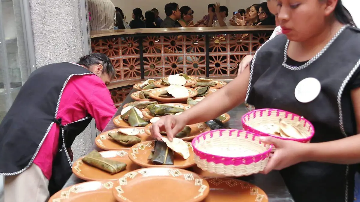 ¿Qué son las chicatanas y cómo se comen? - El Sol de Orizaba | Noticias ...