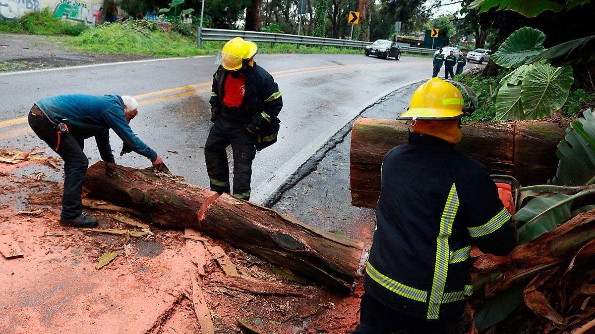 ¿Qué es una surada? La SPC de Orizaba pide a la población estar alerta ...