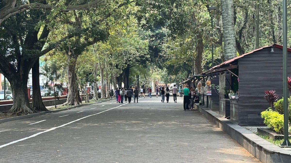 Qué hacer en Orizaba este fin de semana: rugby, exposición de arte y ...