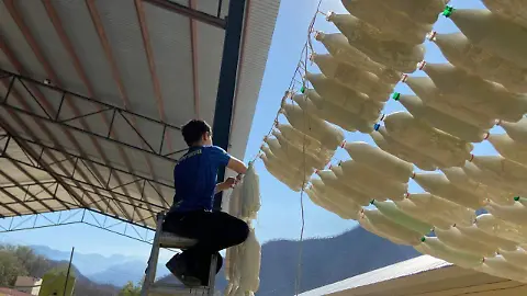 Botellas Recicladas Para Techo