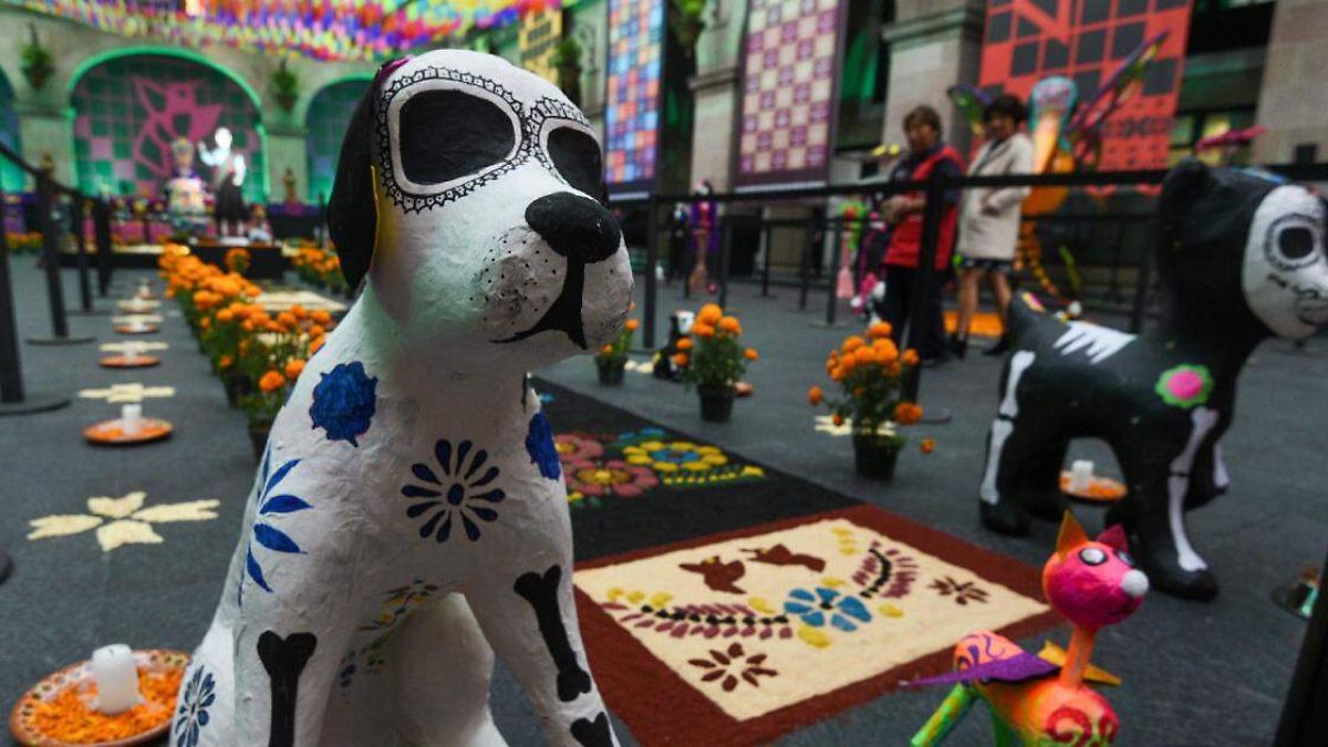 Día de Muertos: oración para las mascotas durante su visita - El Sol de ...