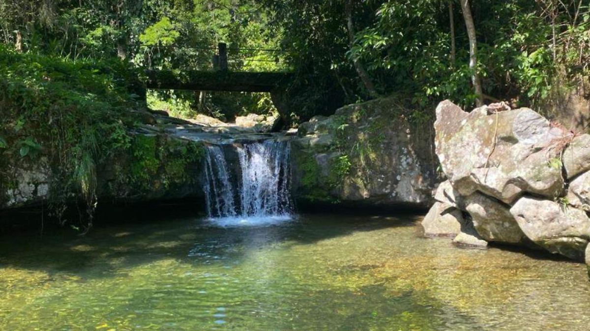 Poza La Magdalena, un ojo de agua escondido en Tlatlauquitepec - El Sol ...