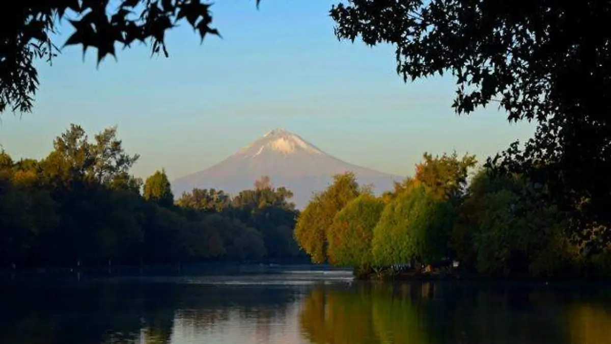 Africam Safari, el corazón de la sabana en Puebla, vuelve a latir ...