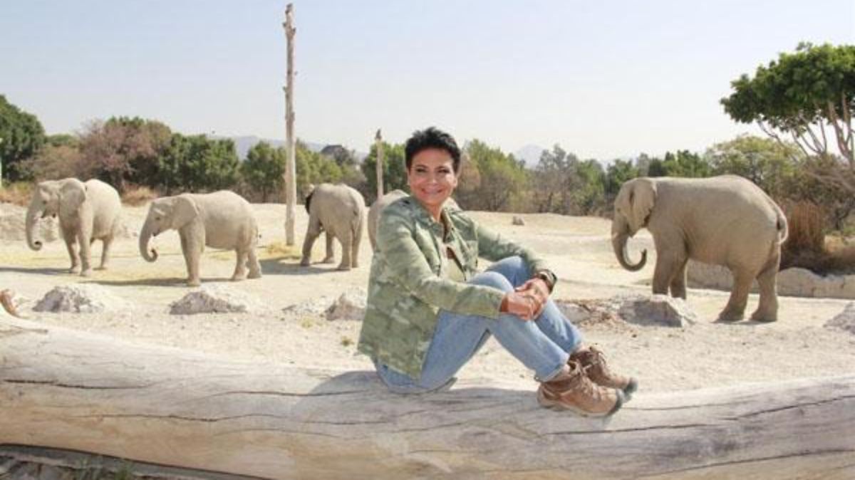 La tribu de Africam Safari está de luto; fallece Amy Camacho, puebla ...