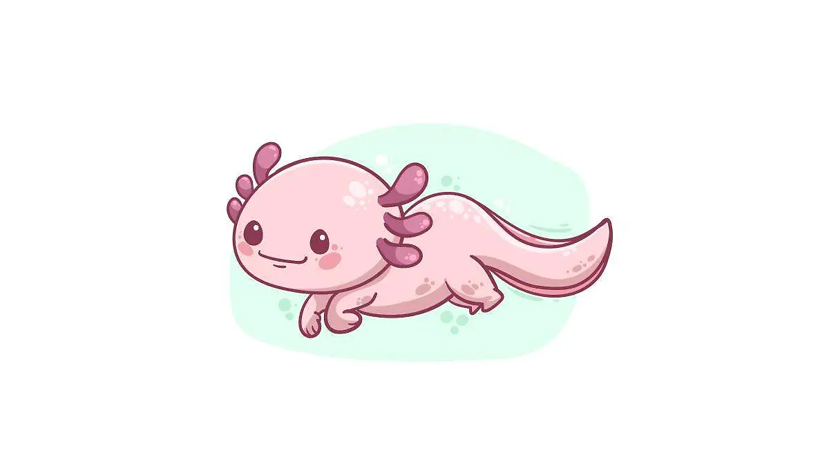 Día Nacional del Ajolote: Por qué se celebra y 4 datos curiosos sobre ...