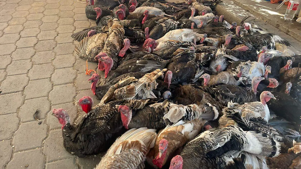 Mercado De Los Muertos En Ajalpan Ya Espera A Visitantes Con Sus