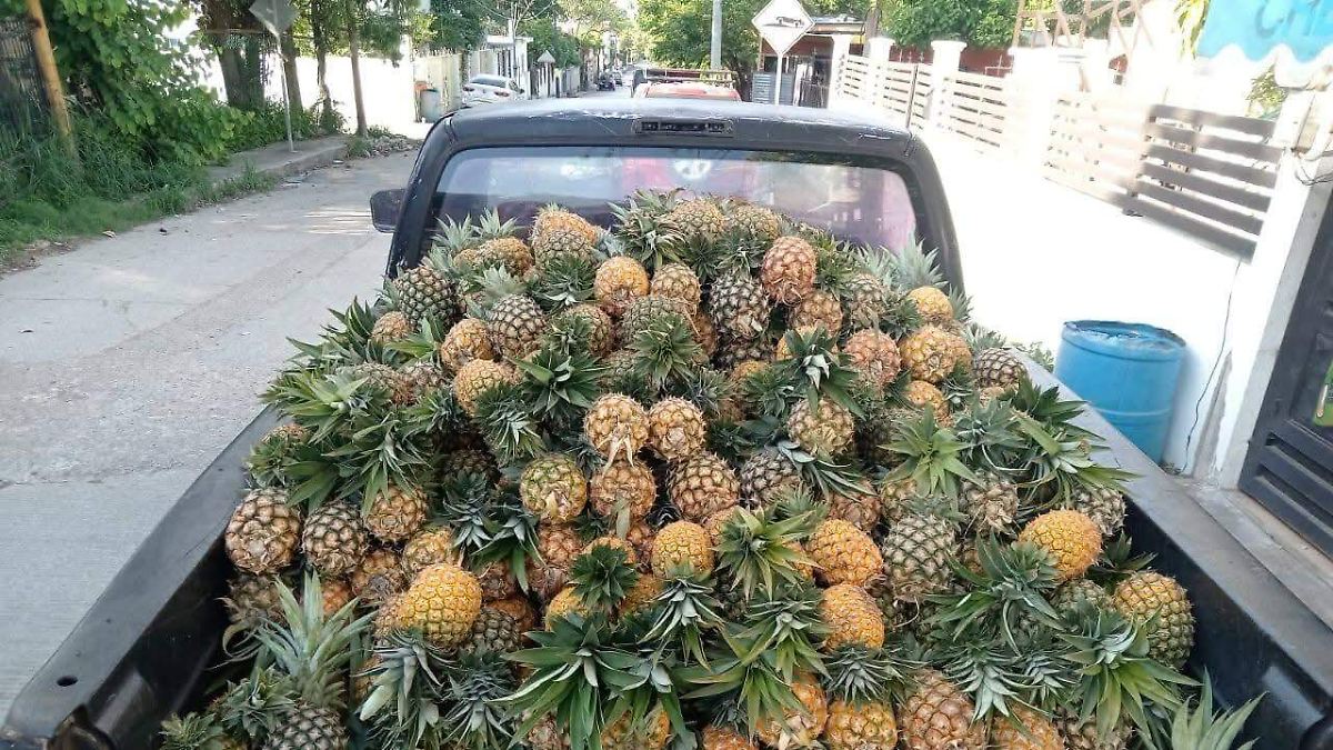 “Vendo piñas para ayudar a mi padre, está enfermo”: el emprendimiento ...