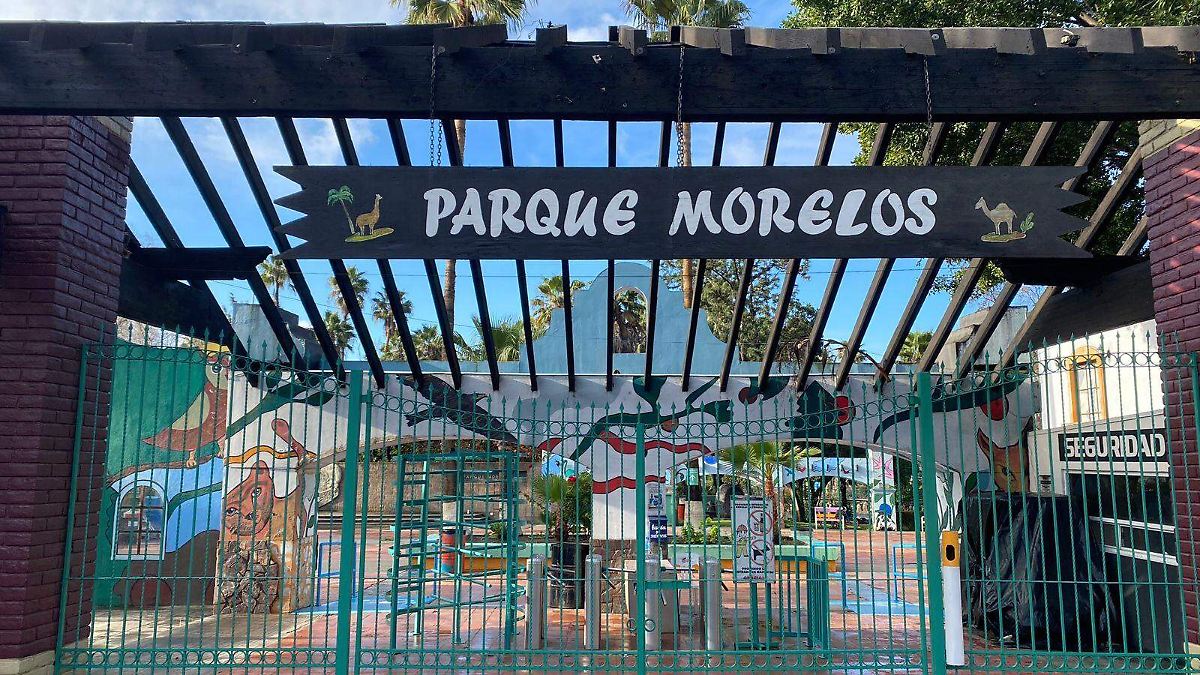 Pierde áreas verdes Parque Morelos debido a la ampliación de las ...