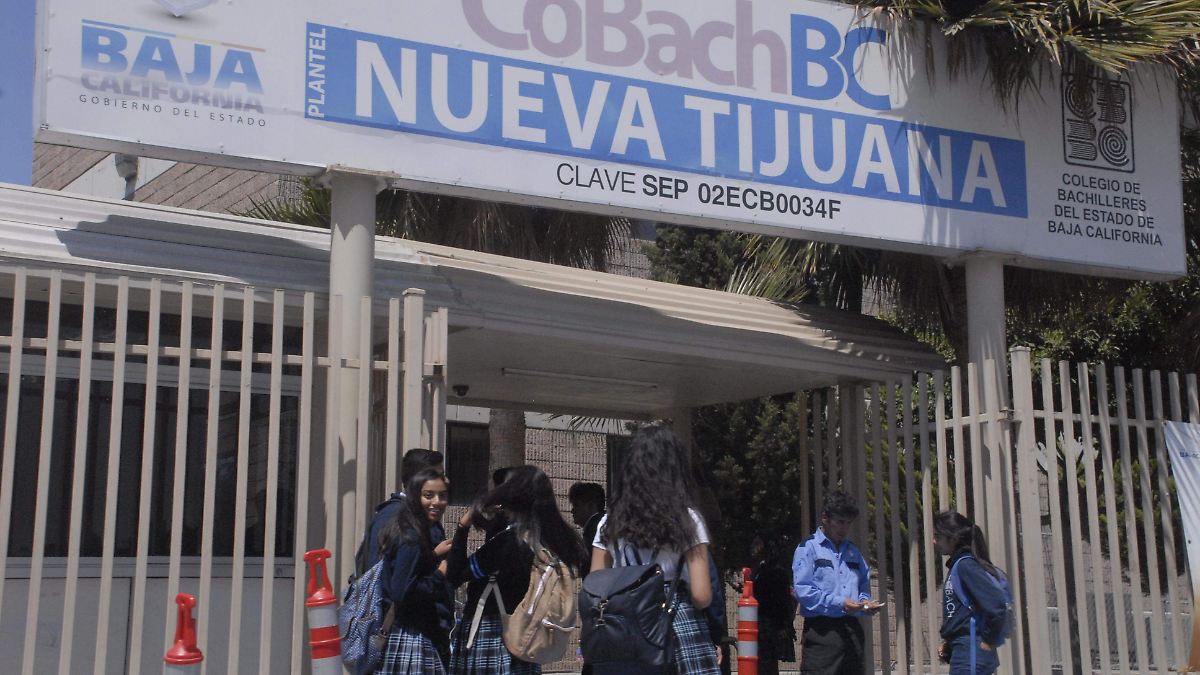 Cobach, con proceso de ingreso a docentes - El Sol de Tijuana ...