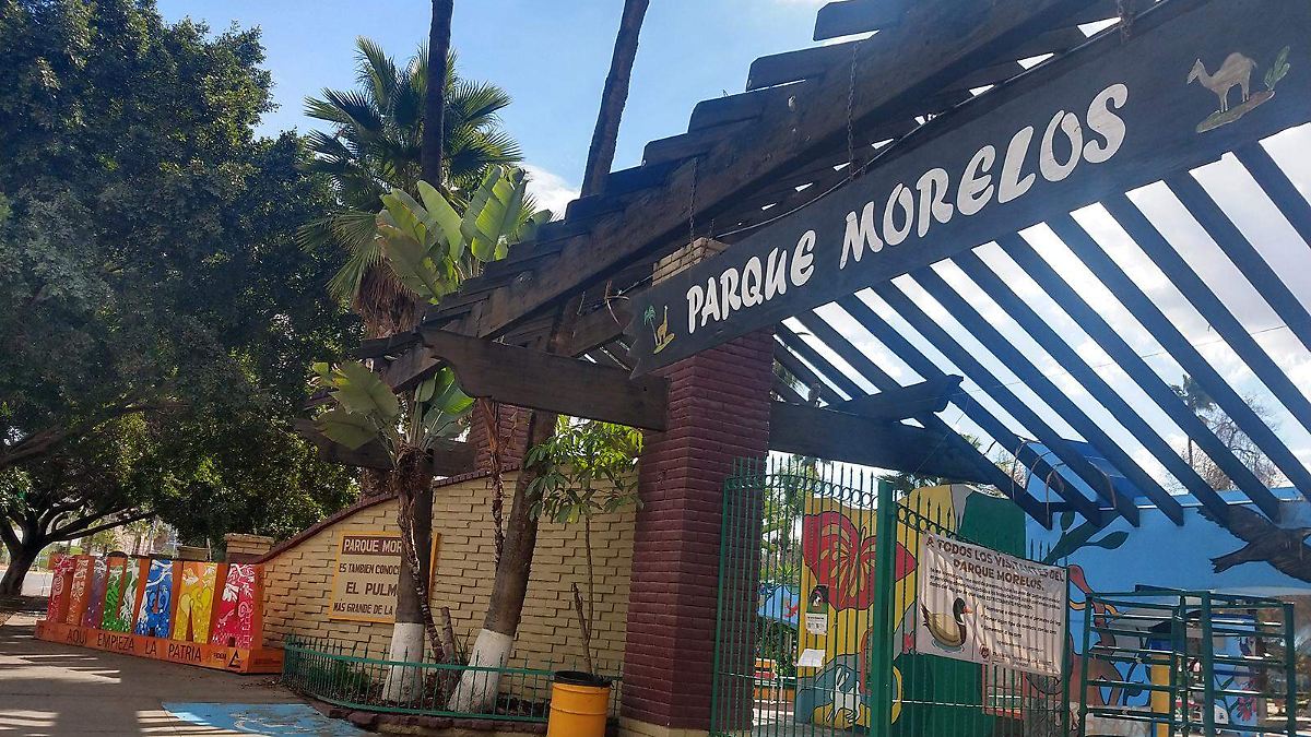 Donará Parque Morelos plantas endémicas cada tercer domingo del mes ...