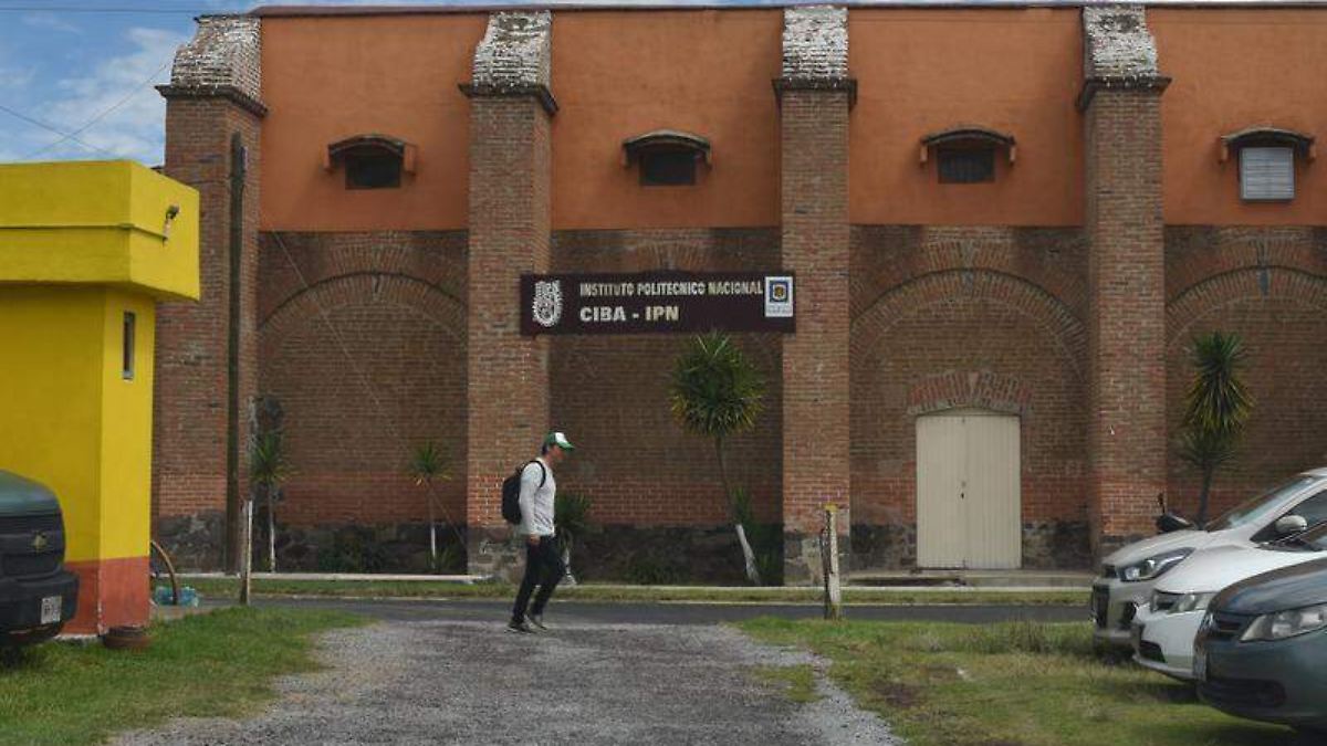 Aplica el CIBA del IPN en Tlaxcala, ciencia en el agro - El Sol de ...