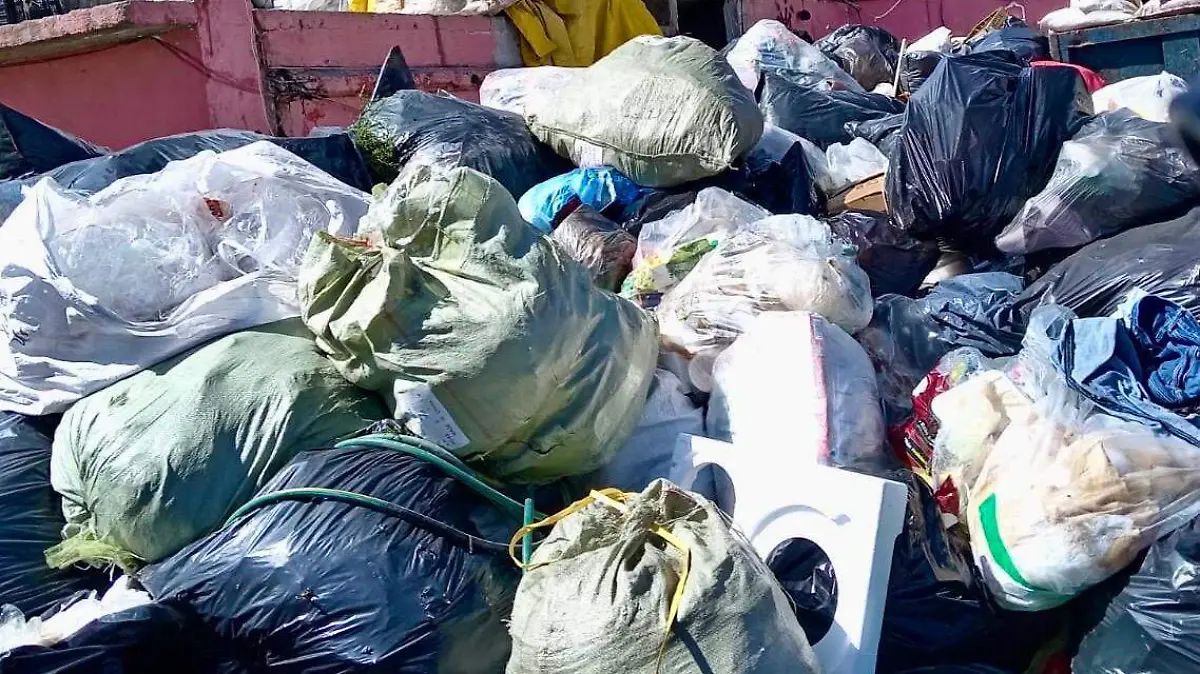 Ayuntamiento de Toluca habilita 22 puntos fijos para la recolección de ...