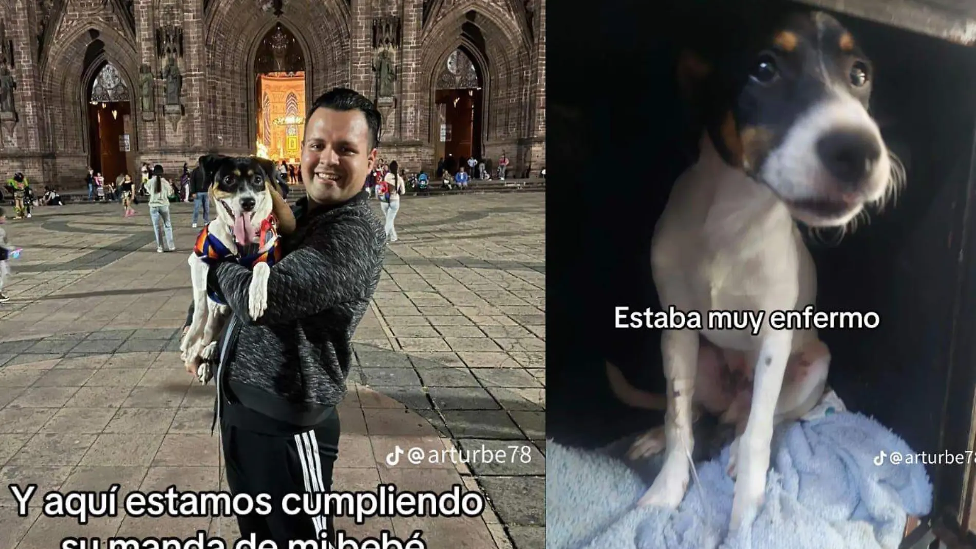 Perrito peregrino visita Santuario Guadalupano de Zamora - El Sol de ...