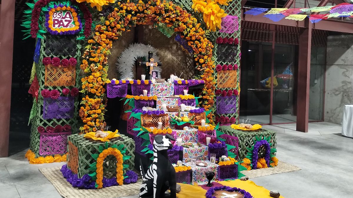 Viernes 1 y sábado 2 de noviembre el Centro Deportivo Municipal El ...