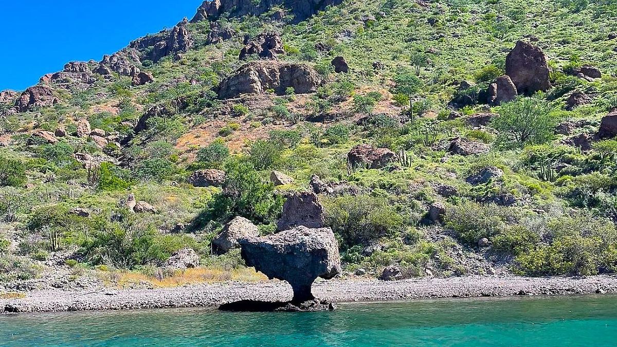 El “Hongo de Balandra” tiene un gemelo y está en Loreto - El ...