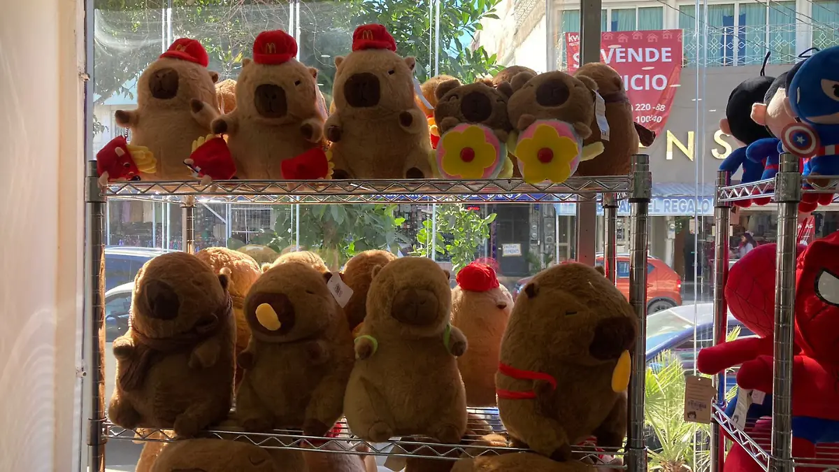 Cinco datos que no sabías de los capibaras - El Sudcaliforniano ...